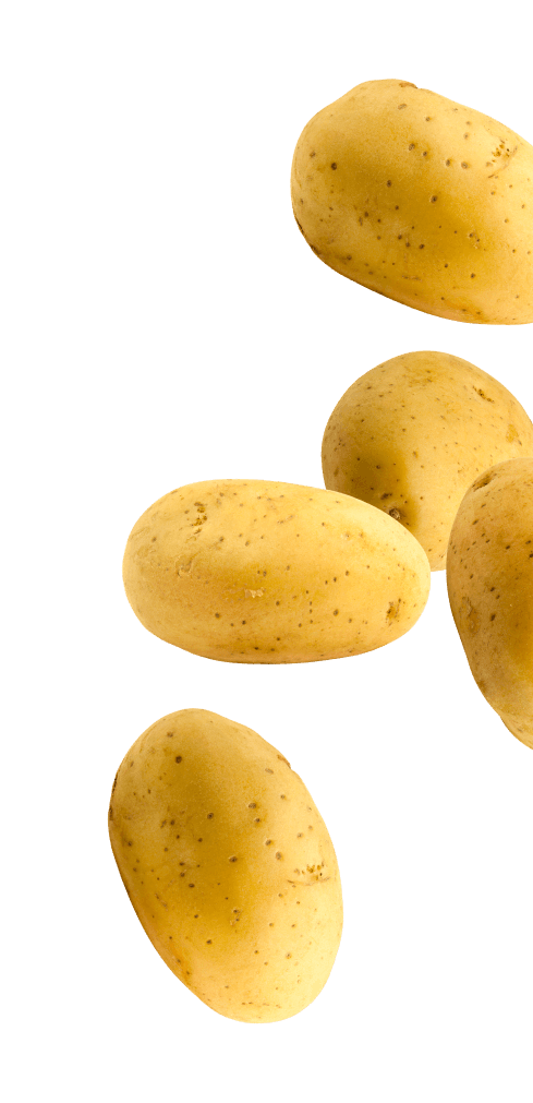 Leadership Team | About Us | Manor Fresh